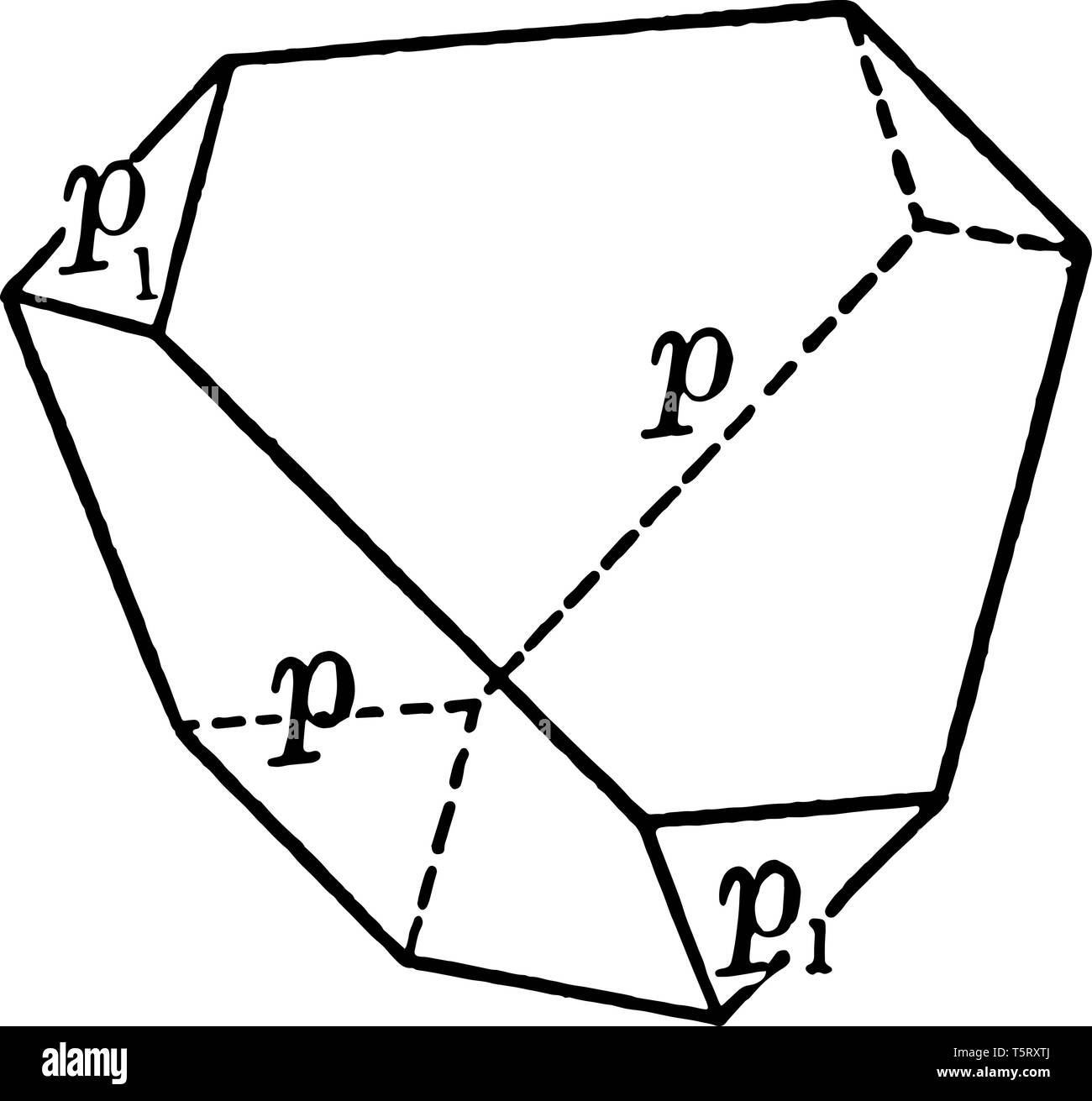 Les visages sont équivalents dans leur position à l'autre visage de la ...