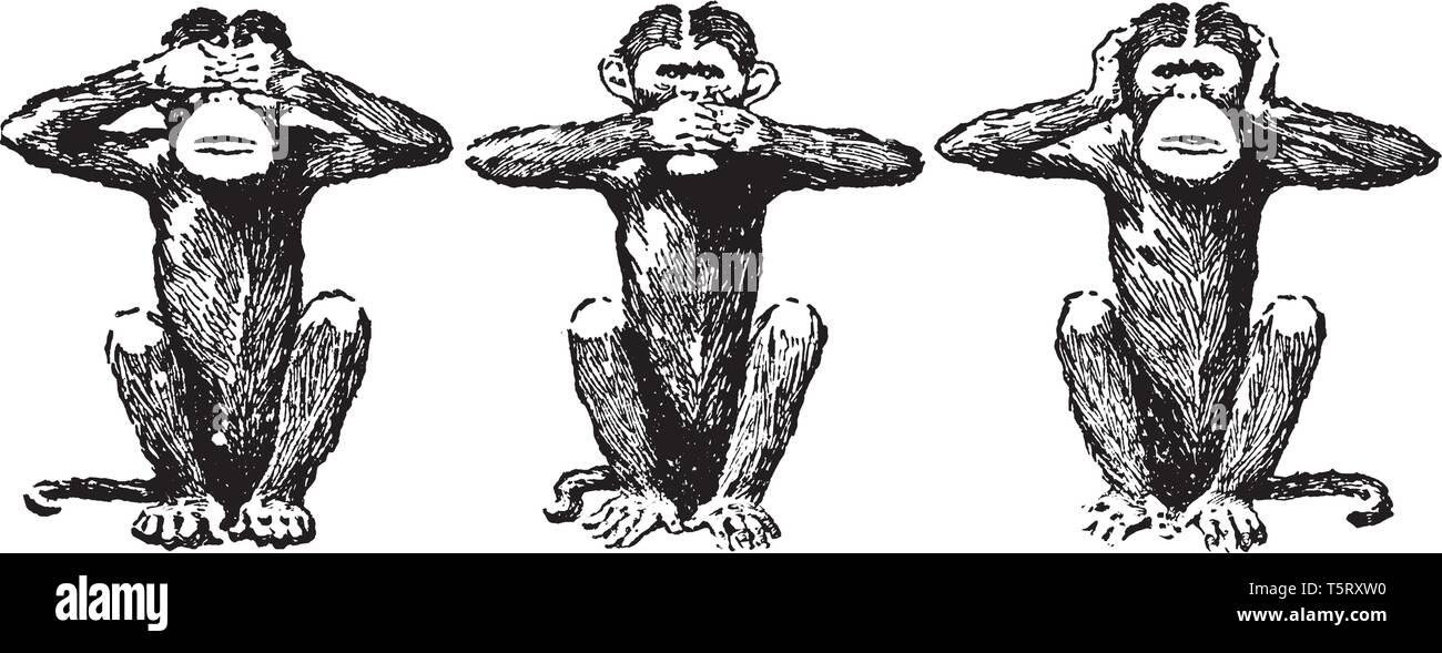 Cette illustration représente les trois singes sages, vintage dessin ou ...