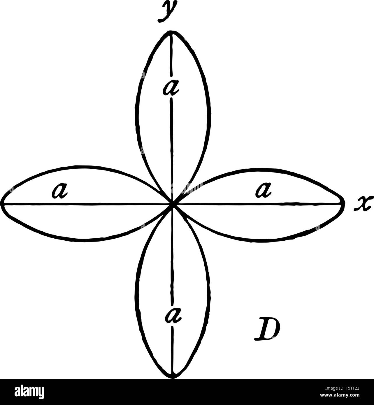 Il y a quatre pétales qui ont une forme elliptique. L'arbre passe à ...