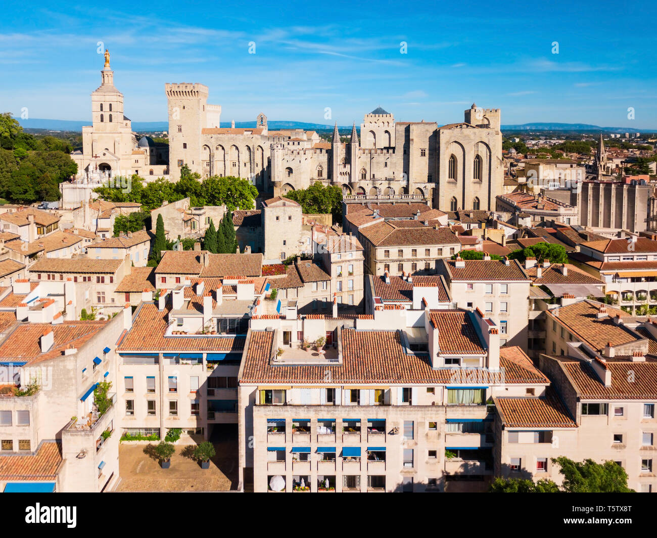 Palais des Papes ou le Palais des Papes et cathédrale d'Avignon vue ...