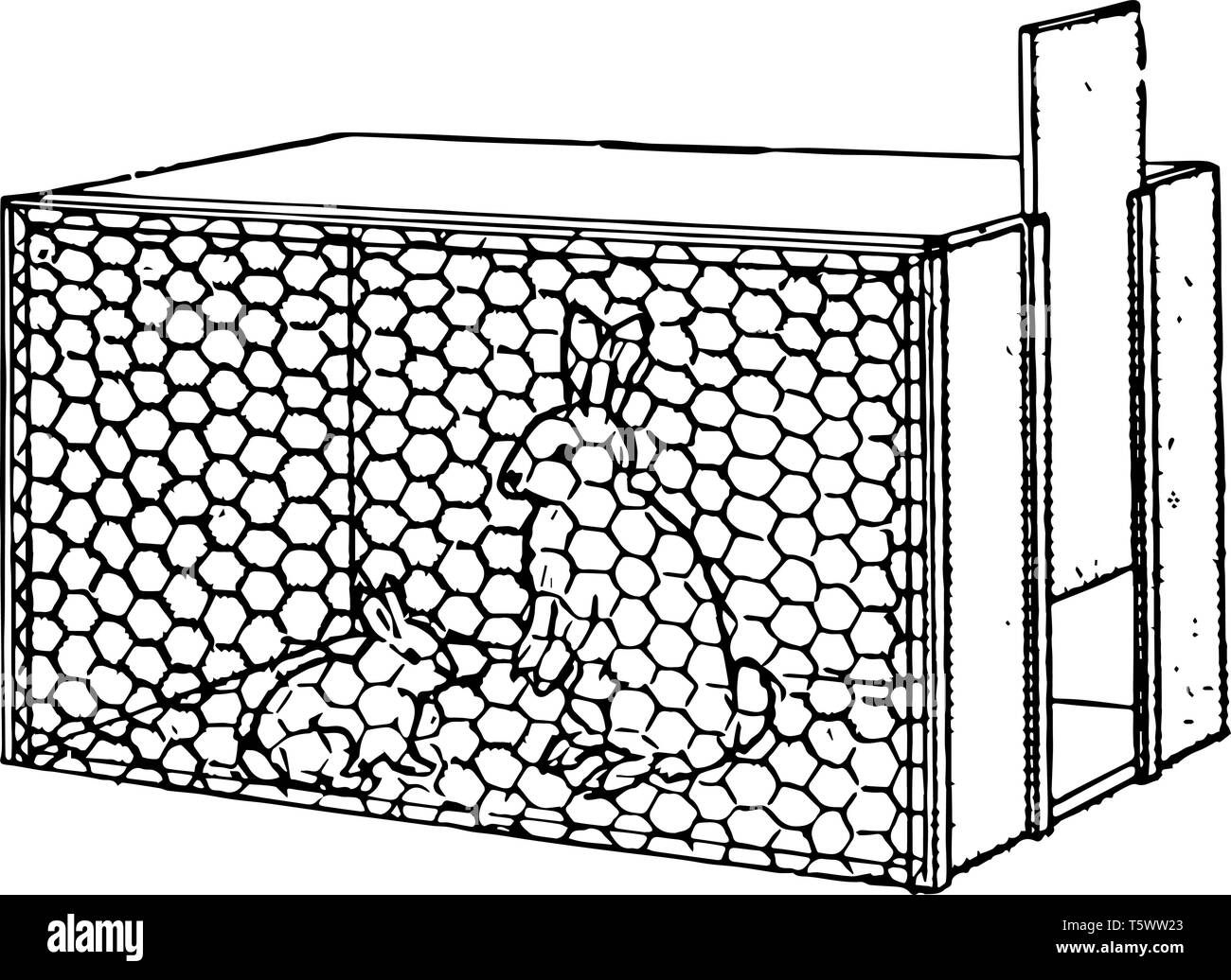 Cette illustration représente clapier avec deux lapins, vintage dessin ...