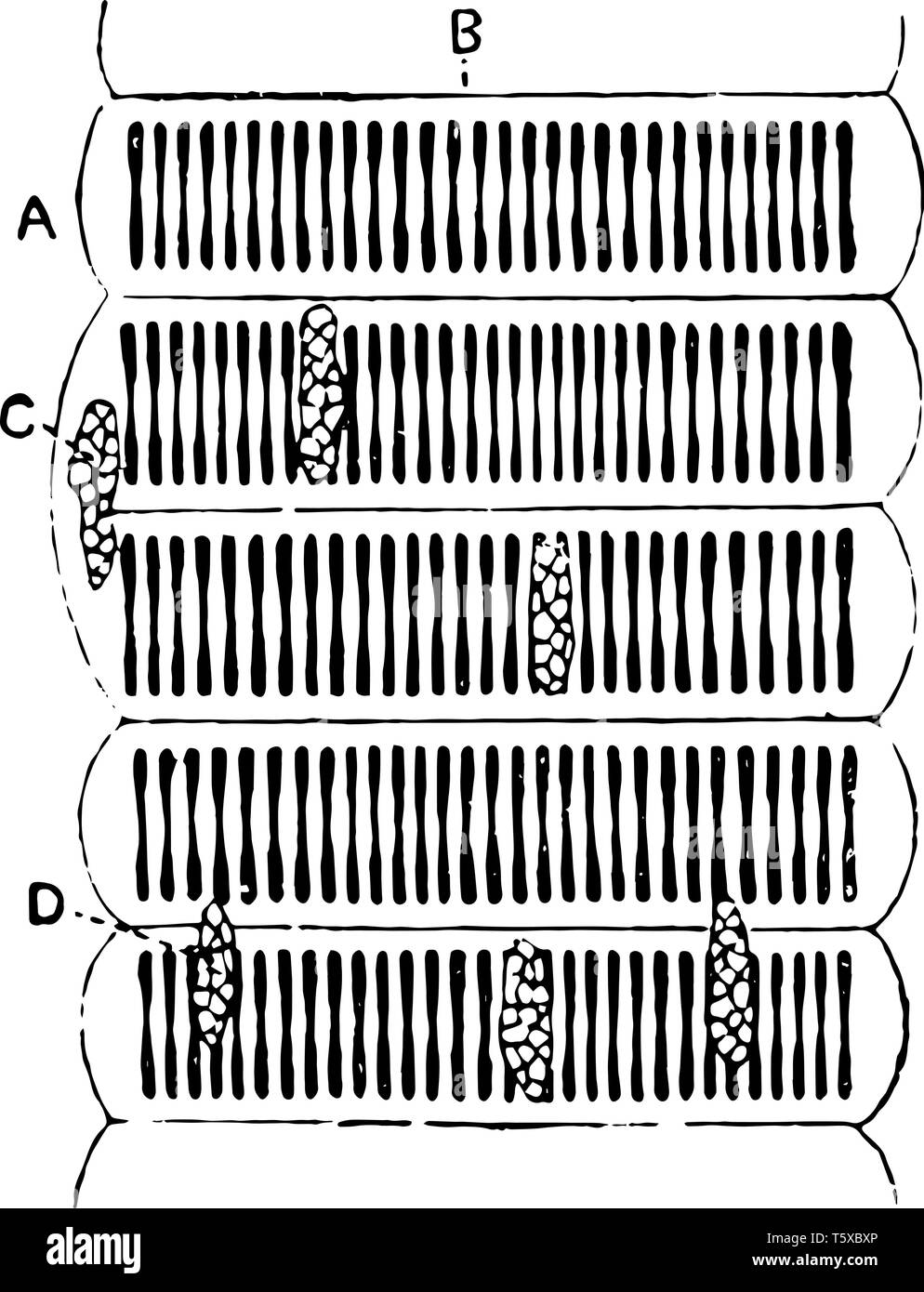 Alcool absolu Banque de photographies et d’images à haute résolution ...