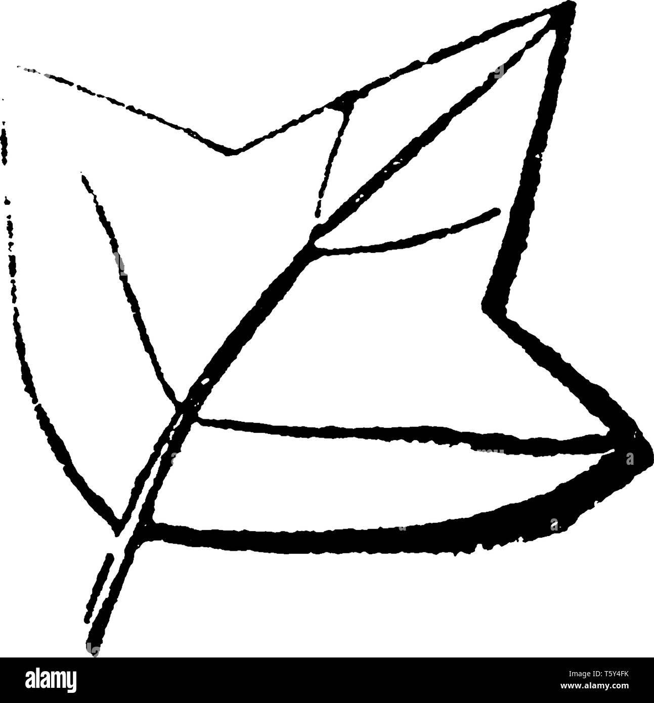 Forme de feuille triangulaire Banque de photographies et d’images à ...