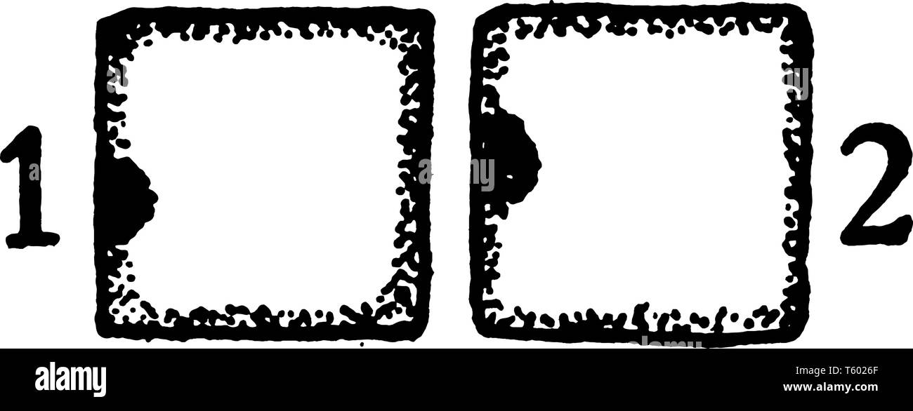 Une photo montrant le premier et deuxième stades de développement de ...