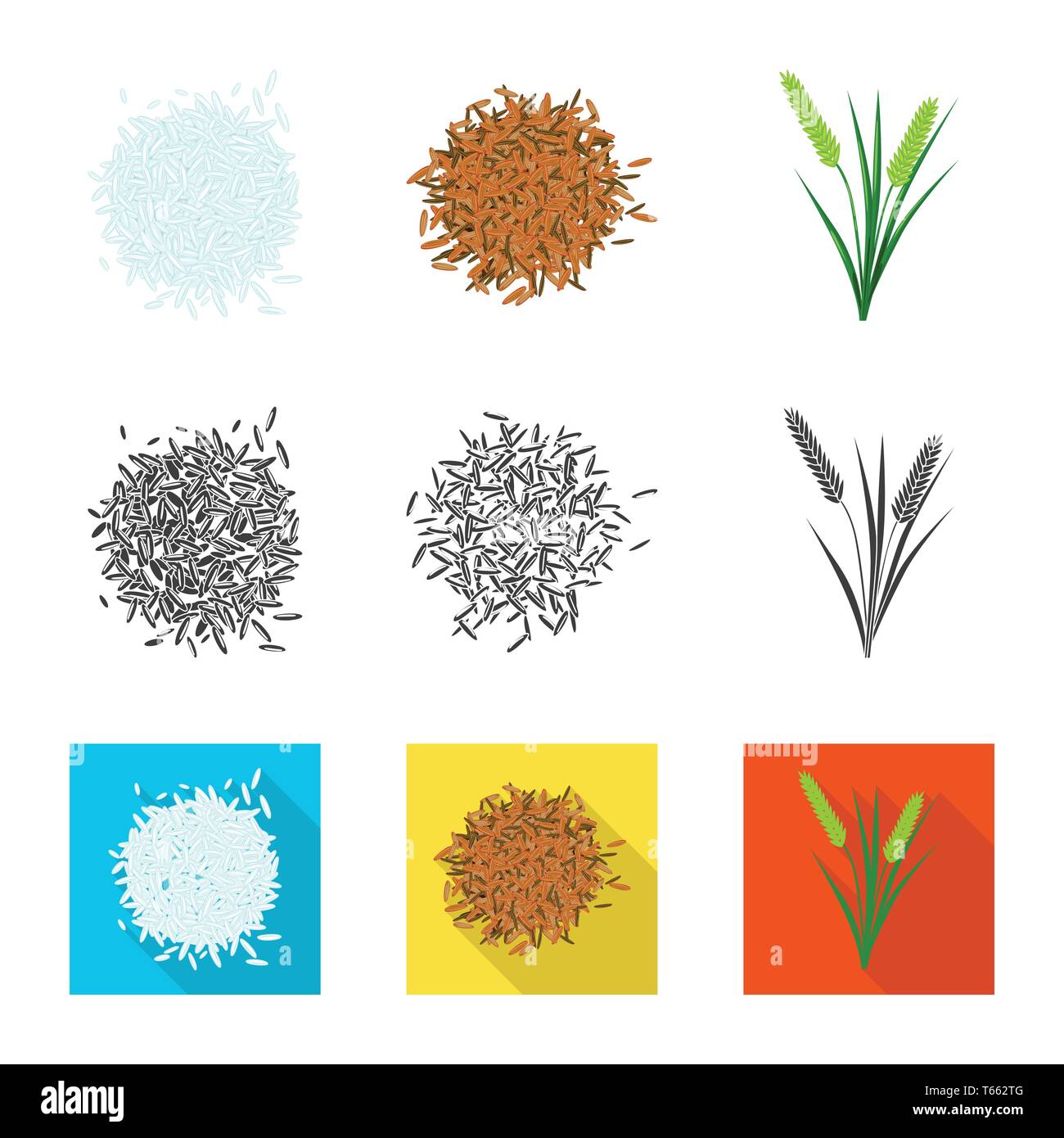 Des grains de riz,,blanc,vulgaire,feuilles,jardin,graines,céréales ...