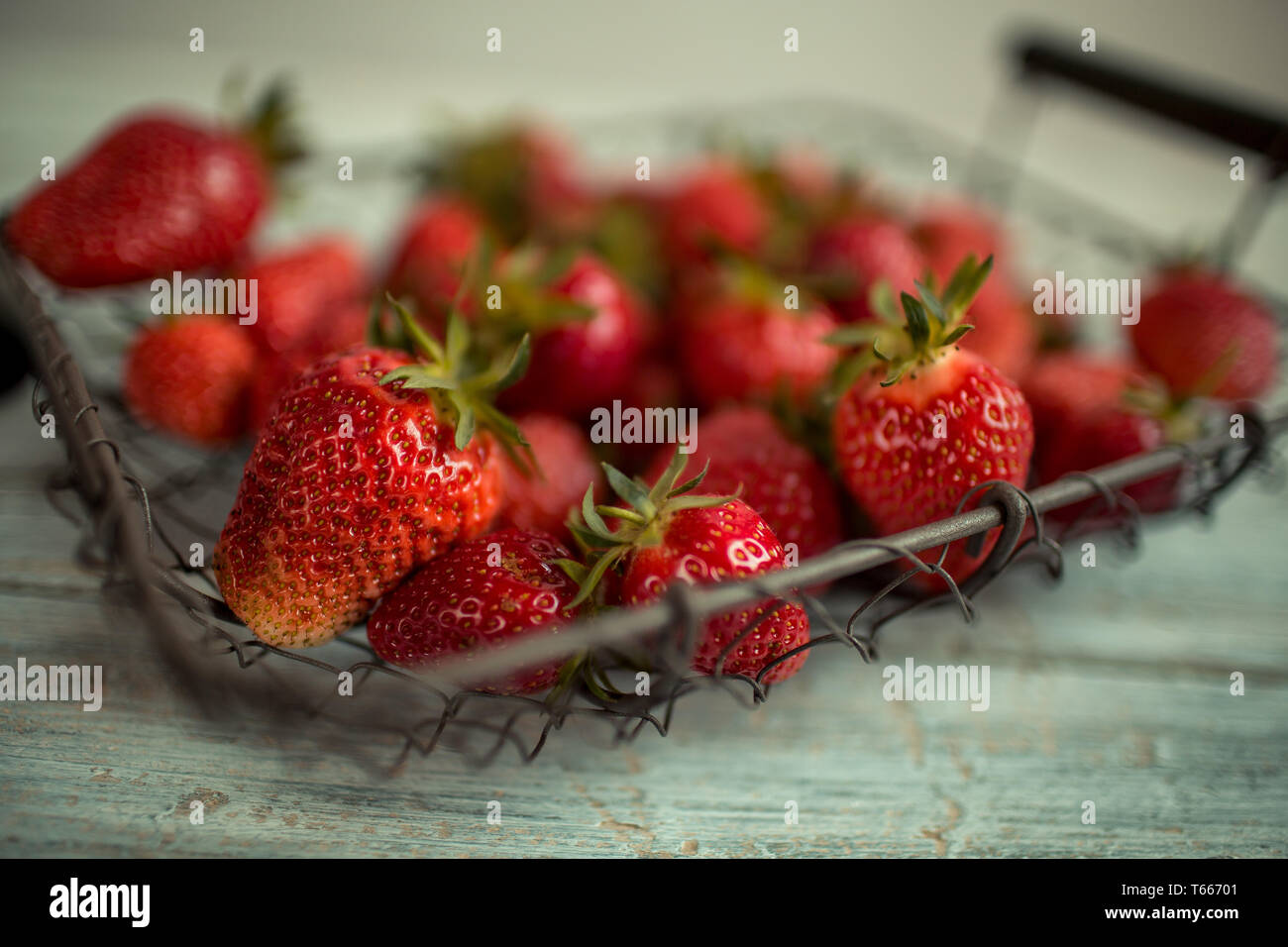 Fraises de jardin Banque de photographies et d’images à haute ...