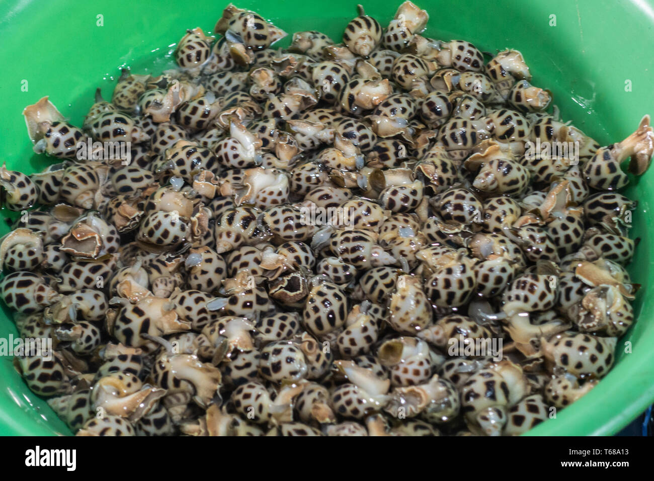 Sihanoukville, Cambodge - Mars 15, 2019 : Marché Phsar Leu. Gros plan ...