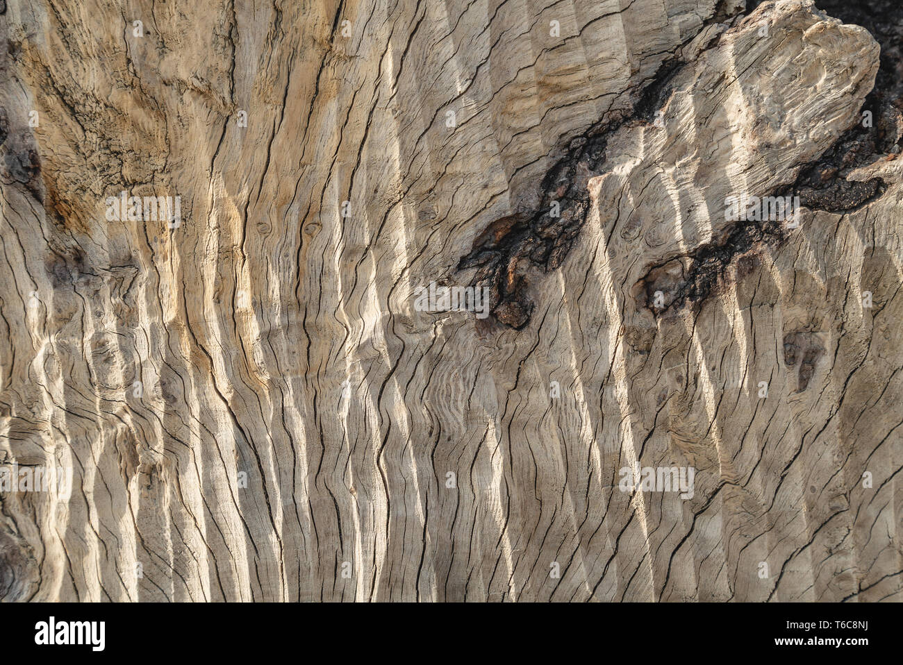 Drift wood texture Banque de photographies et d’images à haute ...