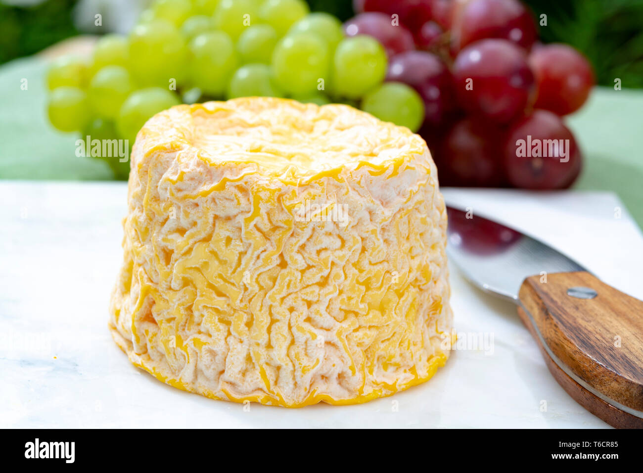 Langres, lait de vache française fromage doux, crémeux et friable avec ...