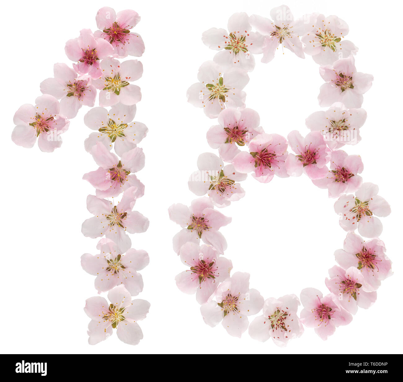 Chiffre 18, dix-huit, de naturel rose fleurs de pêcher, isolé sur fond ...