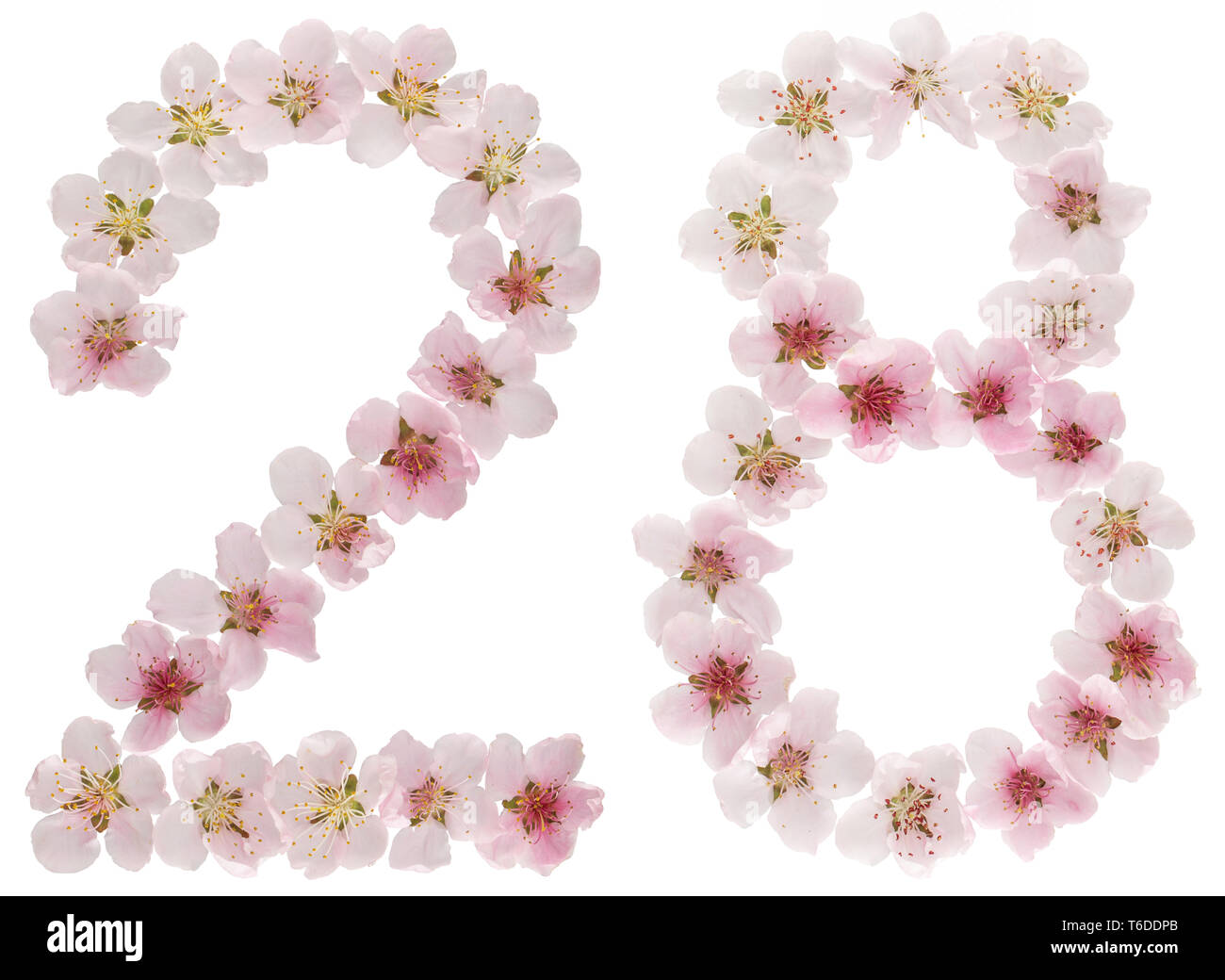 Chiffre 28, vingt-huit, de naturel rose fleurs de pêcher, isolé sur ...