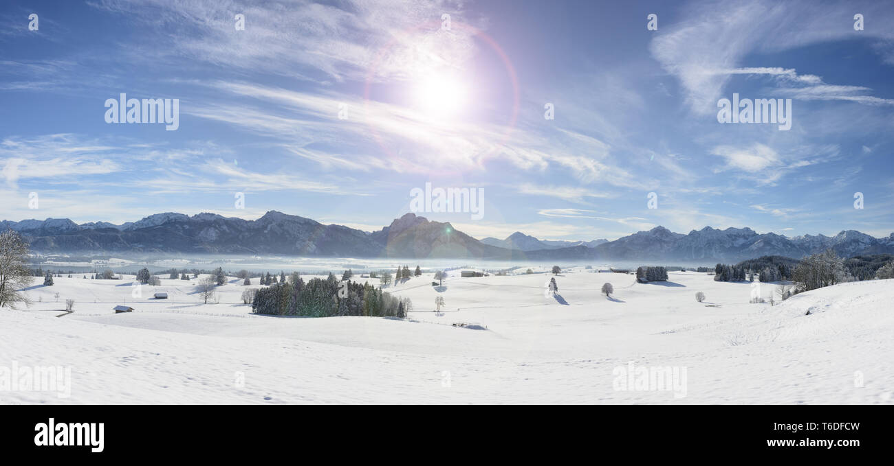 Lac forggensee allgaeu bavière Banque de photographies et d’images à ...