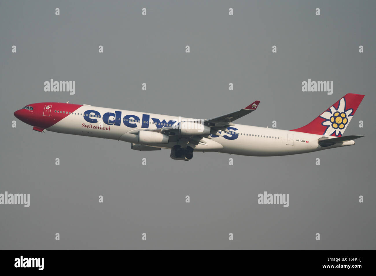 Avion edelweiss air airbus a340 300 Banque de photographies et d’images ...
