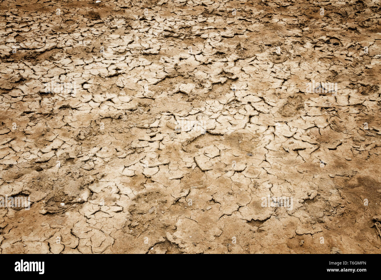 Sol limoneux sableux Banque de photographies et d’images à haute ...