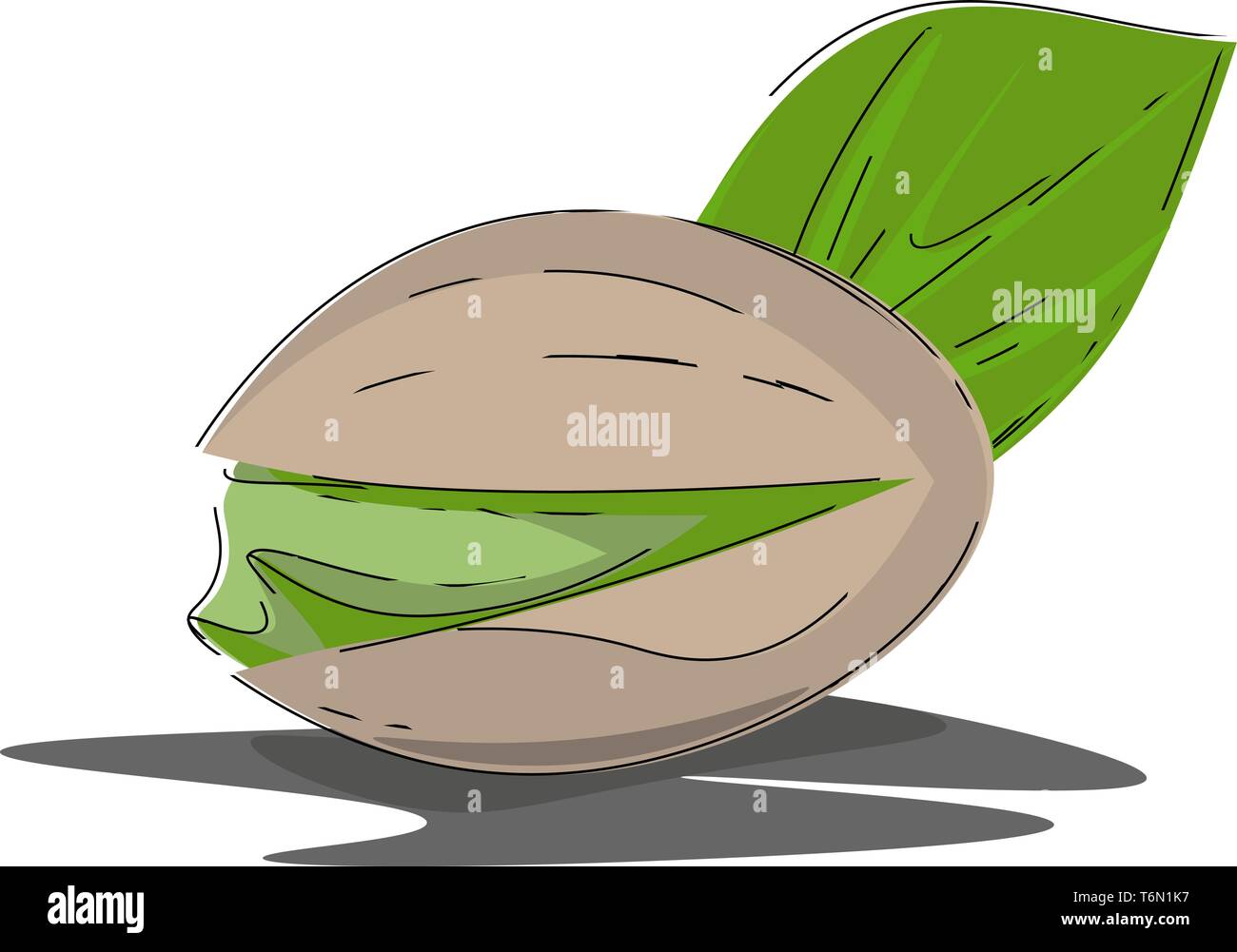 Cartoon noix ovale du pistachier qui sont plus petits et ont une ...