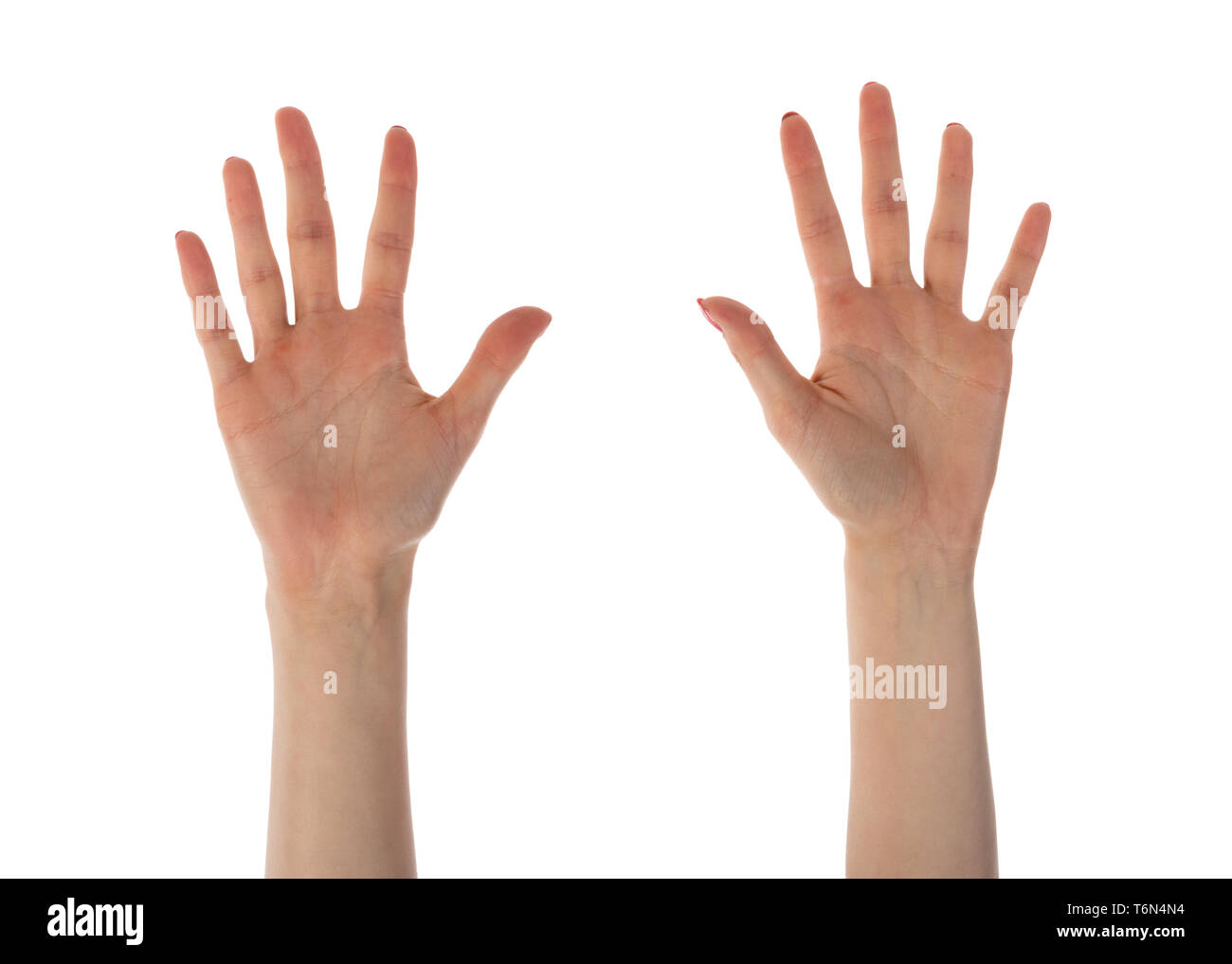 Compter les doigts mains dix Banque d'images détourées - Alamy