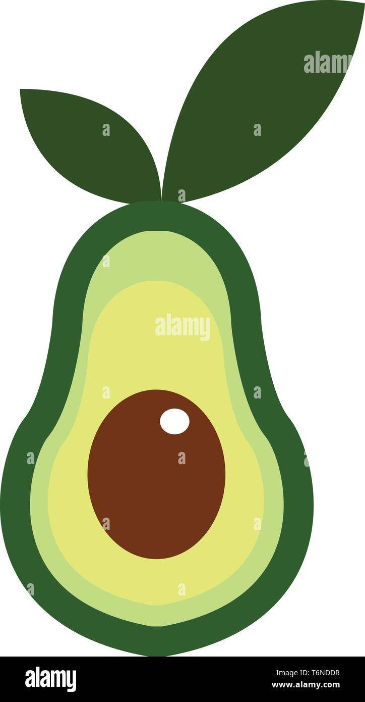 Feuilles en forme de poire Banque d'images vectorielles - Alamy