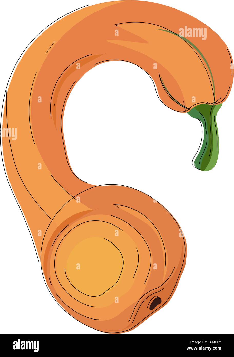 Dessin d'une courge Yellow-Crookneck de couleur brune a une courte tige ...