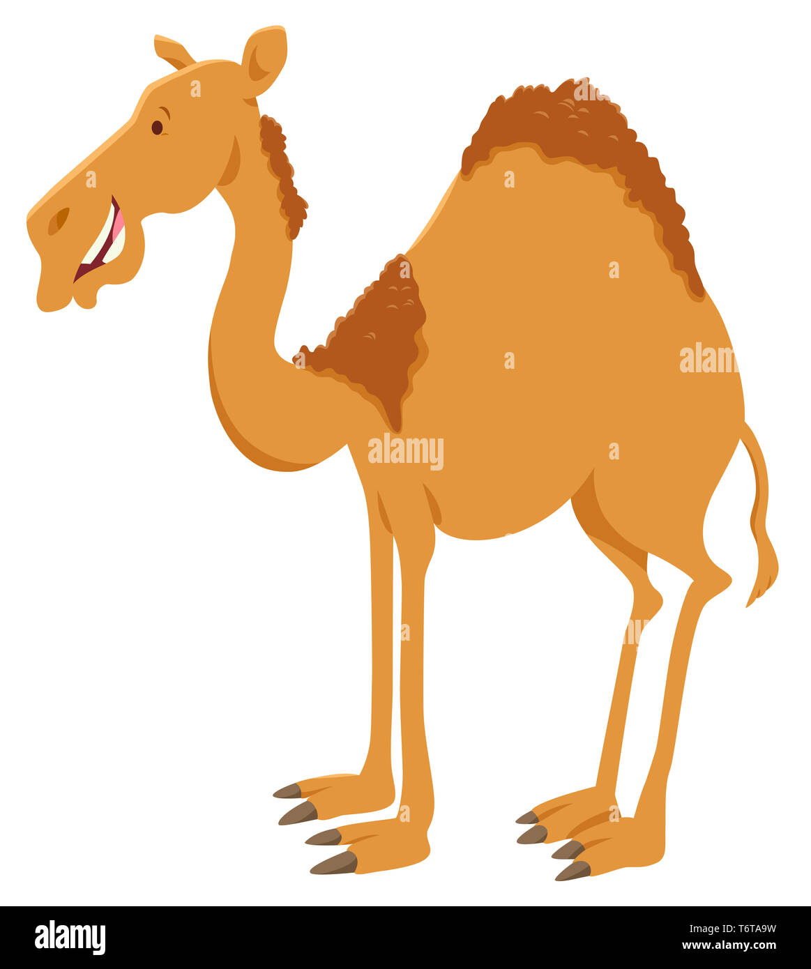 Dromedary Camel Hoof Banque d'image et photos - Alamy