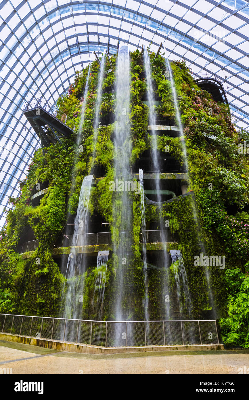 Rainforest dome Banque de photographies et d’images à haute résolution ...