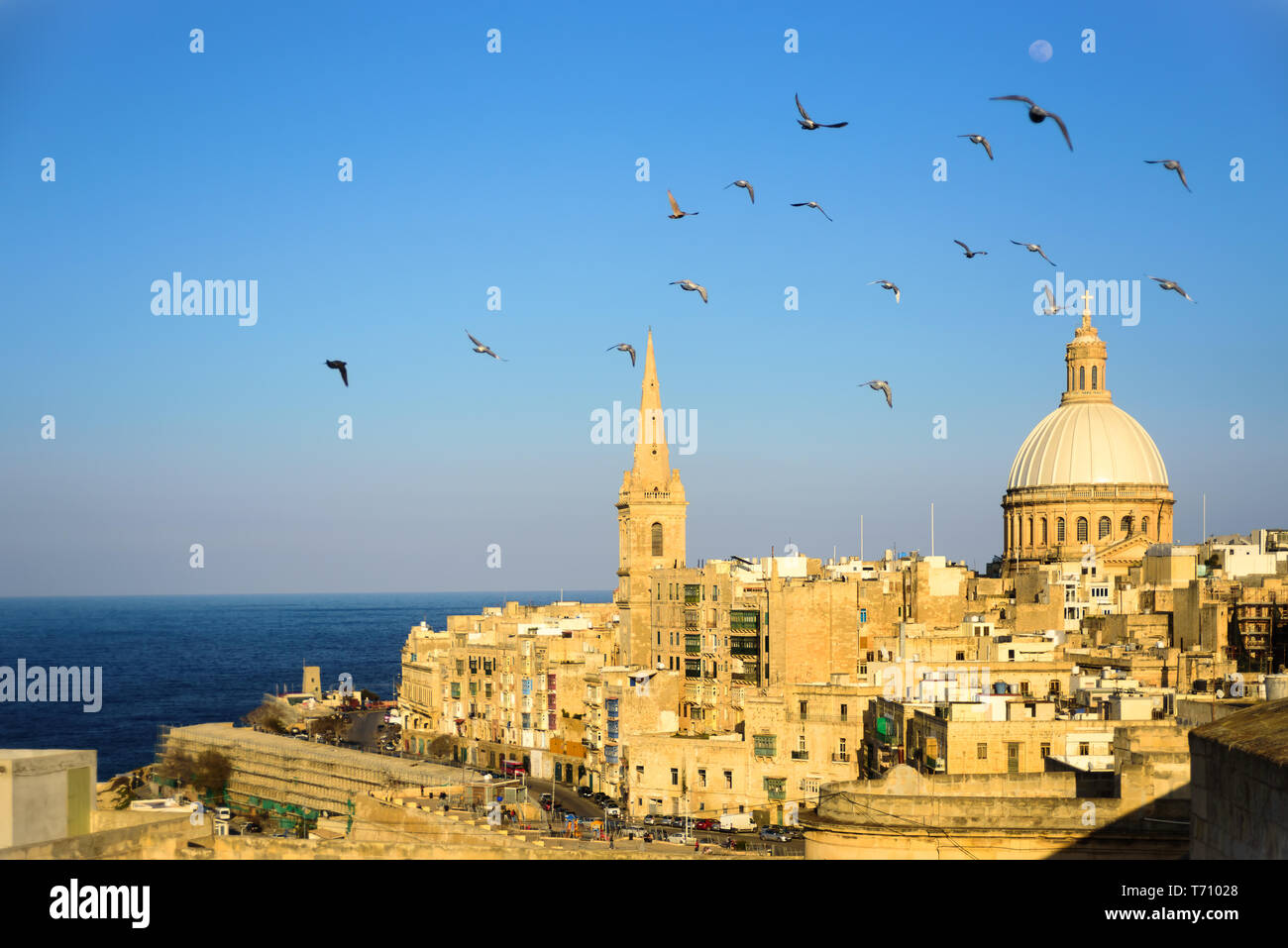 Carte postale classique vue de la Basilique de Notre Dame du Mont ...