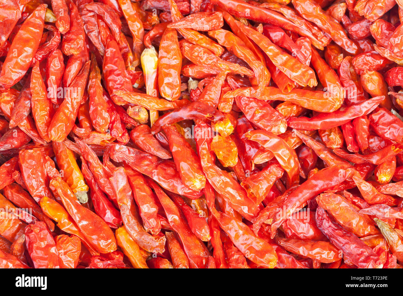 Piments capsicum annuum Banque de photographies et d’images à haute ...