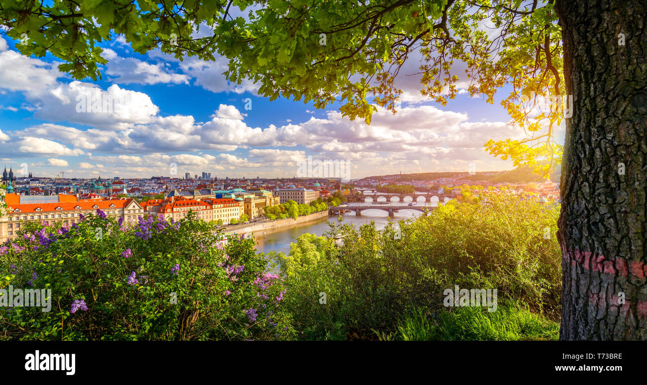 Printemps incroyable paysage urbain, la rivière Vltava et de vieux ...
