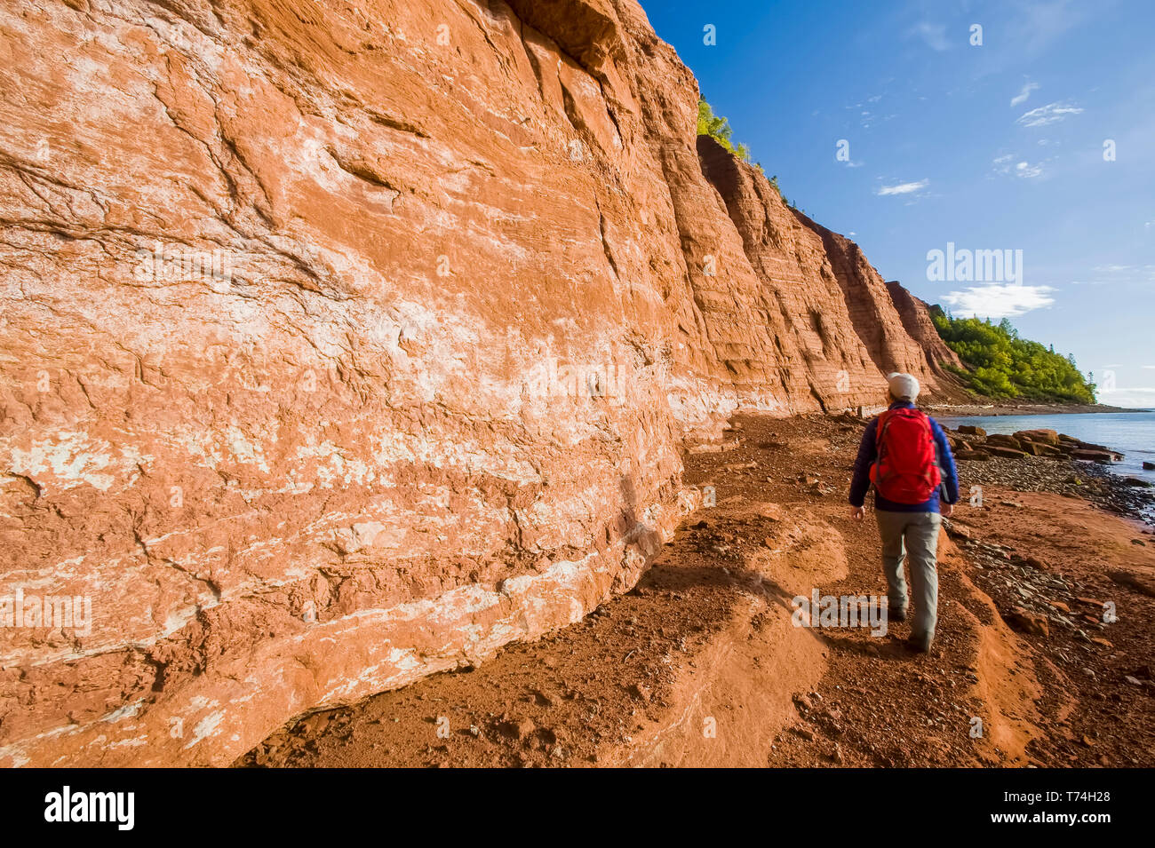 Cape blomidon provincial park in the minas basin Banque de ...