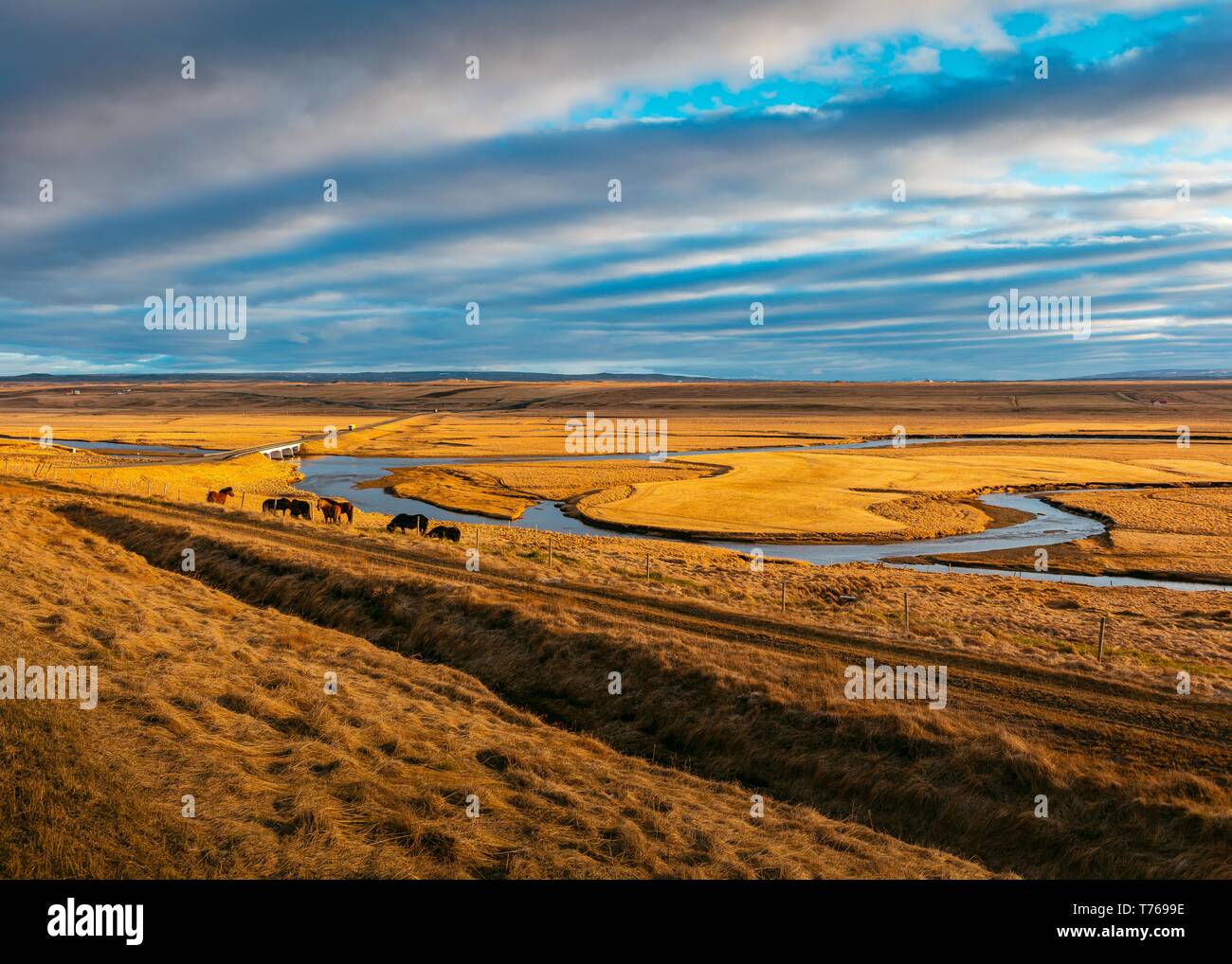 Cherokee chief Banque de photographies et d’images à haute résolution ...