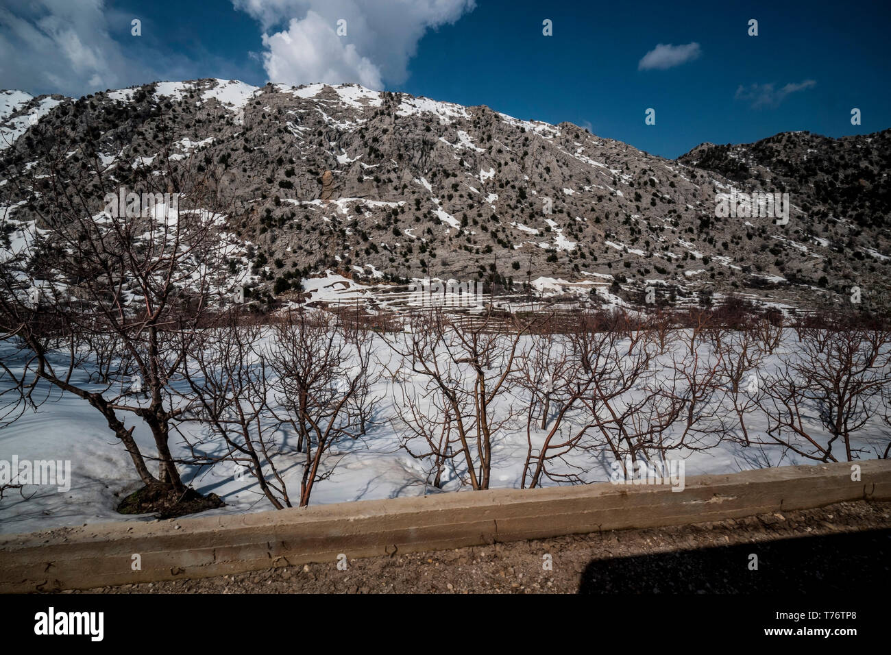 Mount lebanon liban Banque de photographies et d’images à haute ...