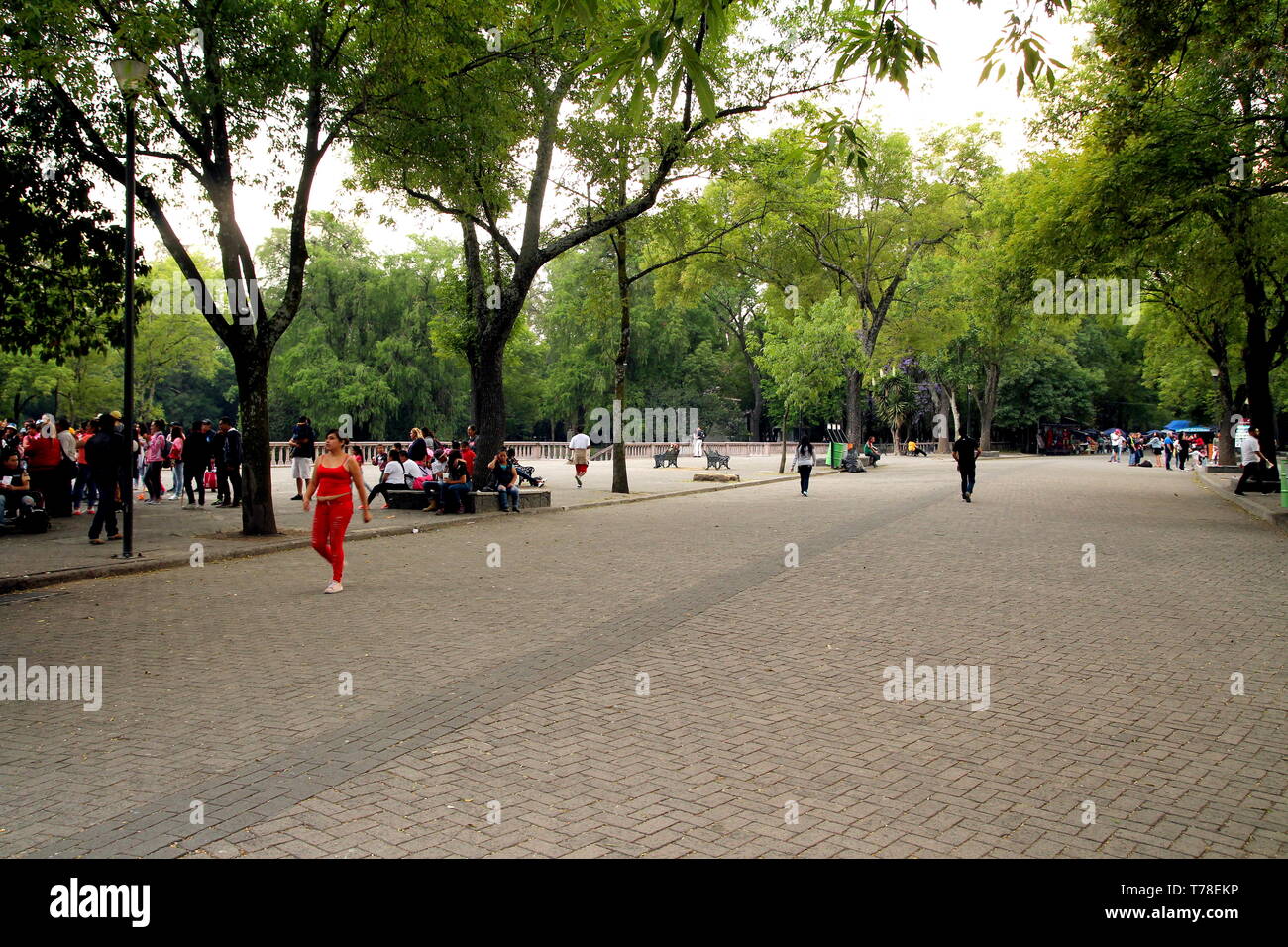 Bosque de chapultepec Banque de photographies et d’images à haute ...