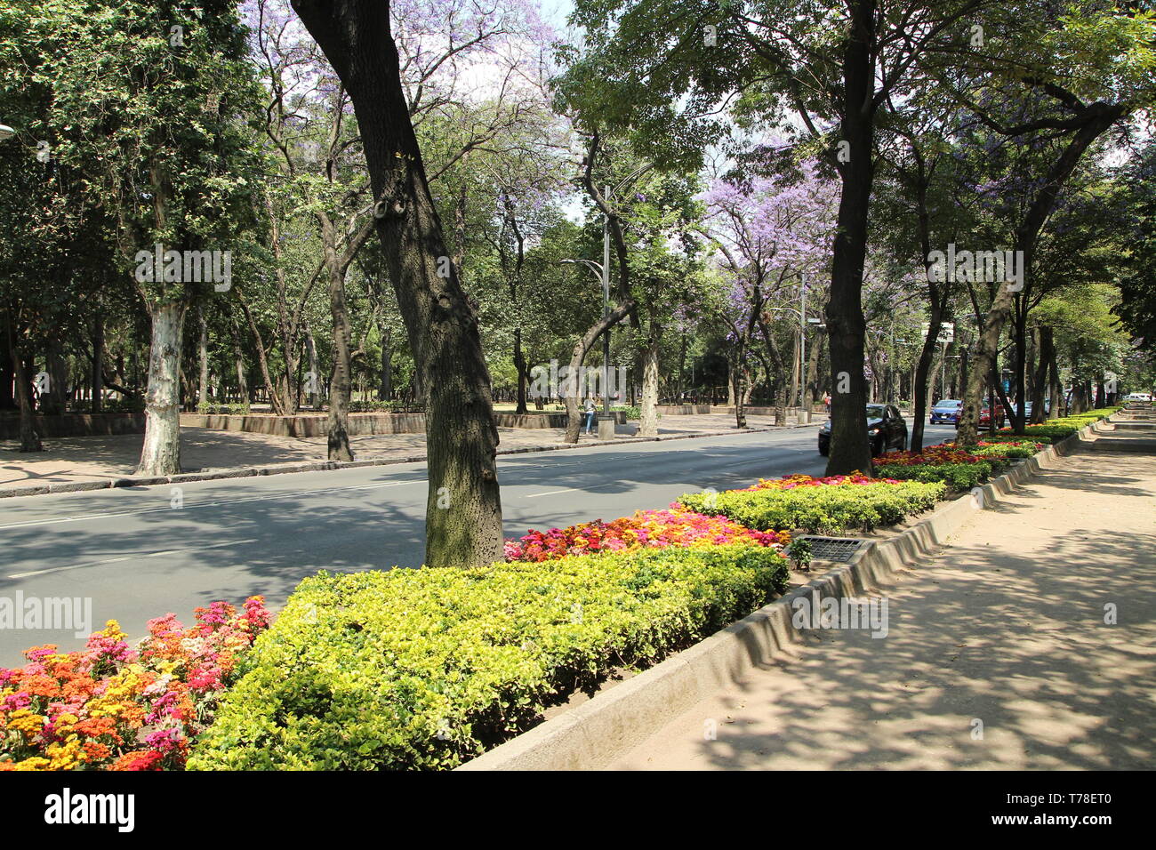 Parc de chapultepec Banque de photographies et d’images à haute ...