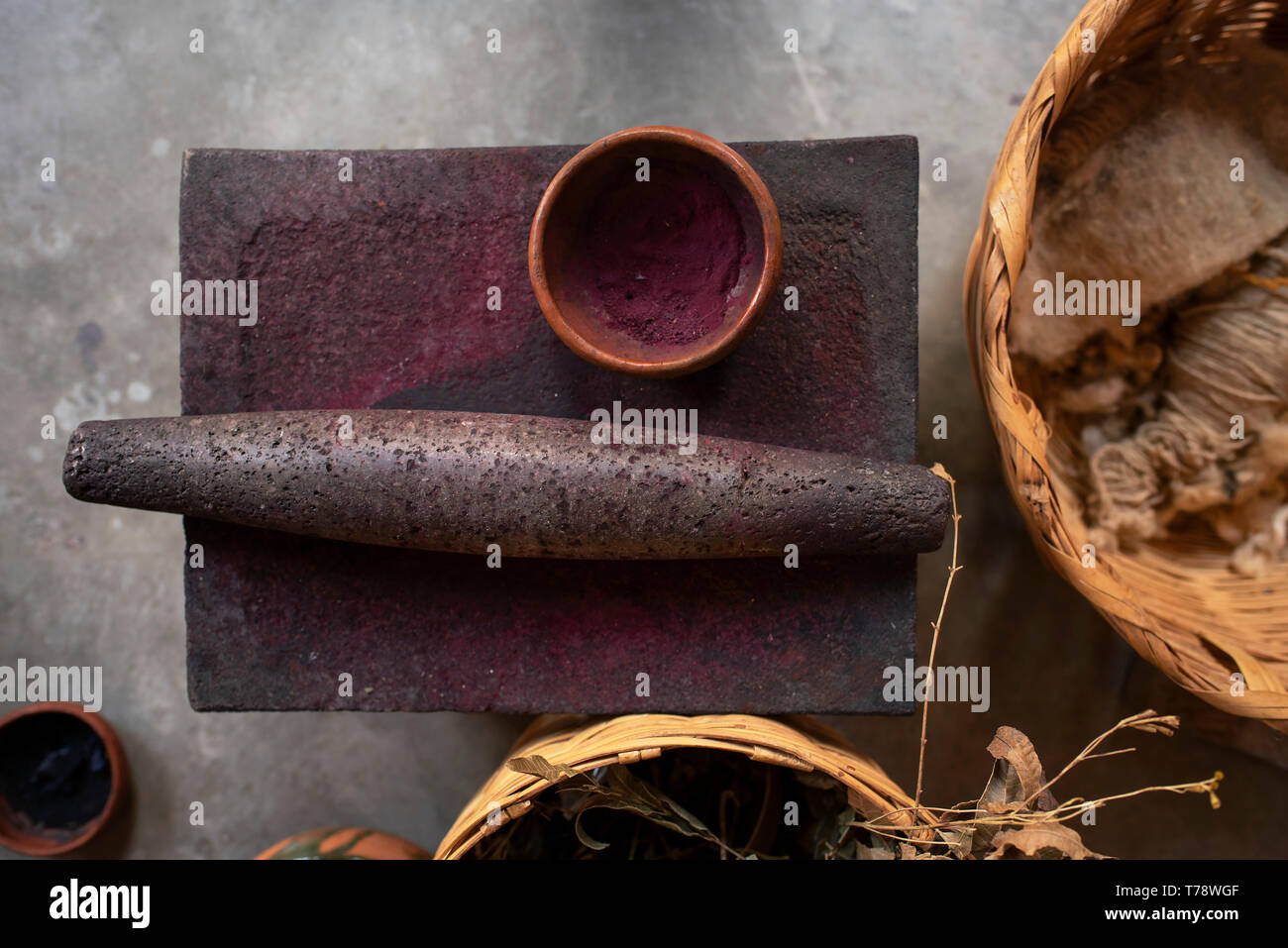 Fabrication d'un colorant rouge naturel. La cochenille insectes sont ...