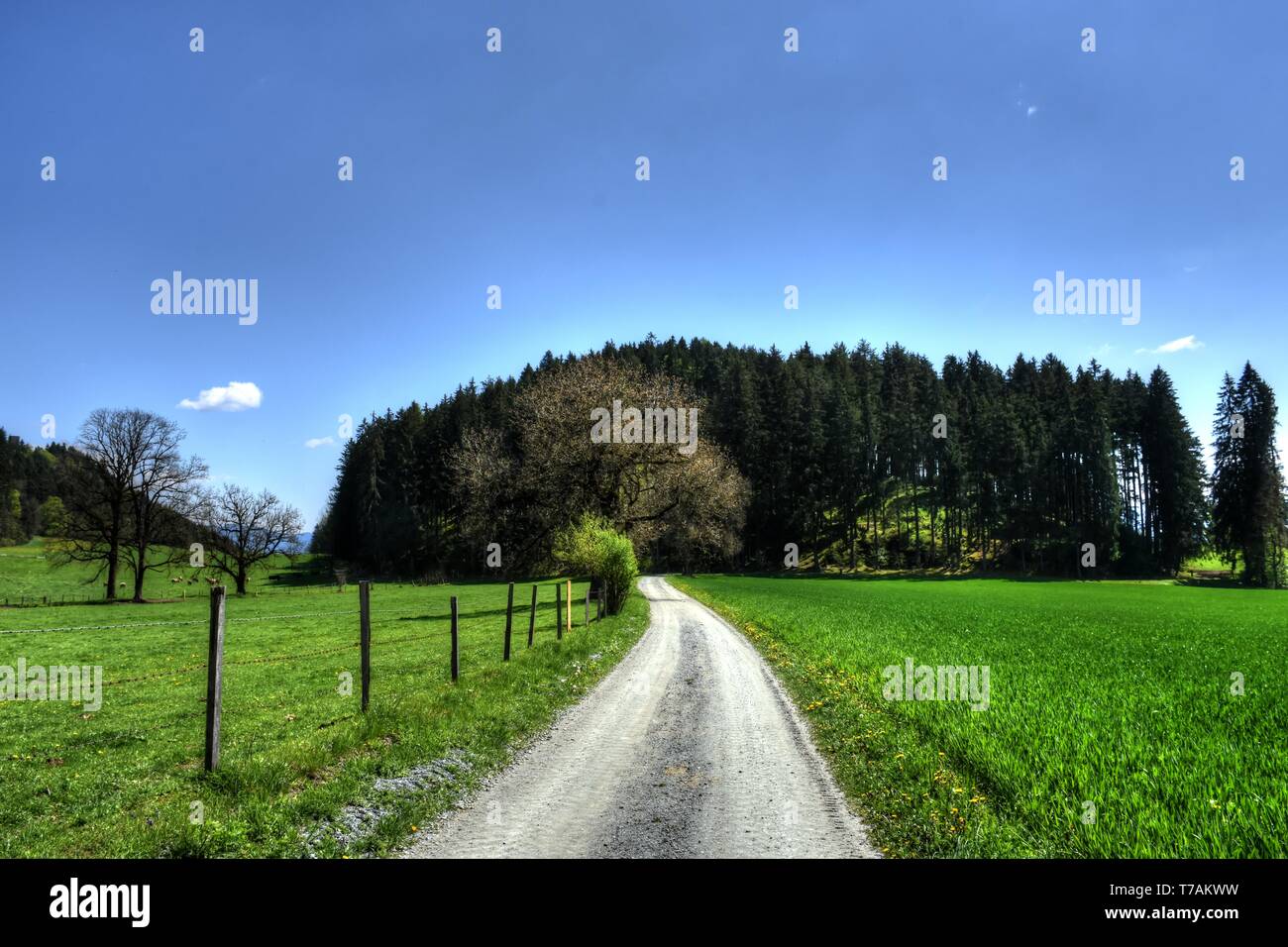 Bau der strasse Banque de photographies et d’images à haute résolution ...