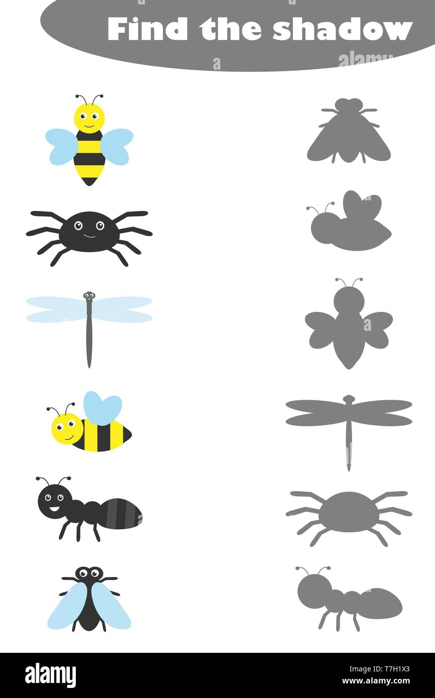 Trouver l'ombre, jeu avec les insectes pour les enfants en style dessin ...