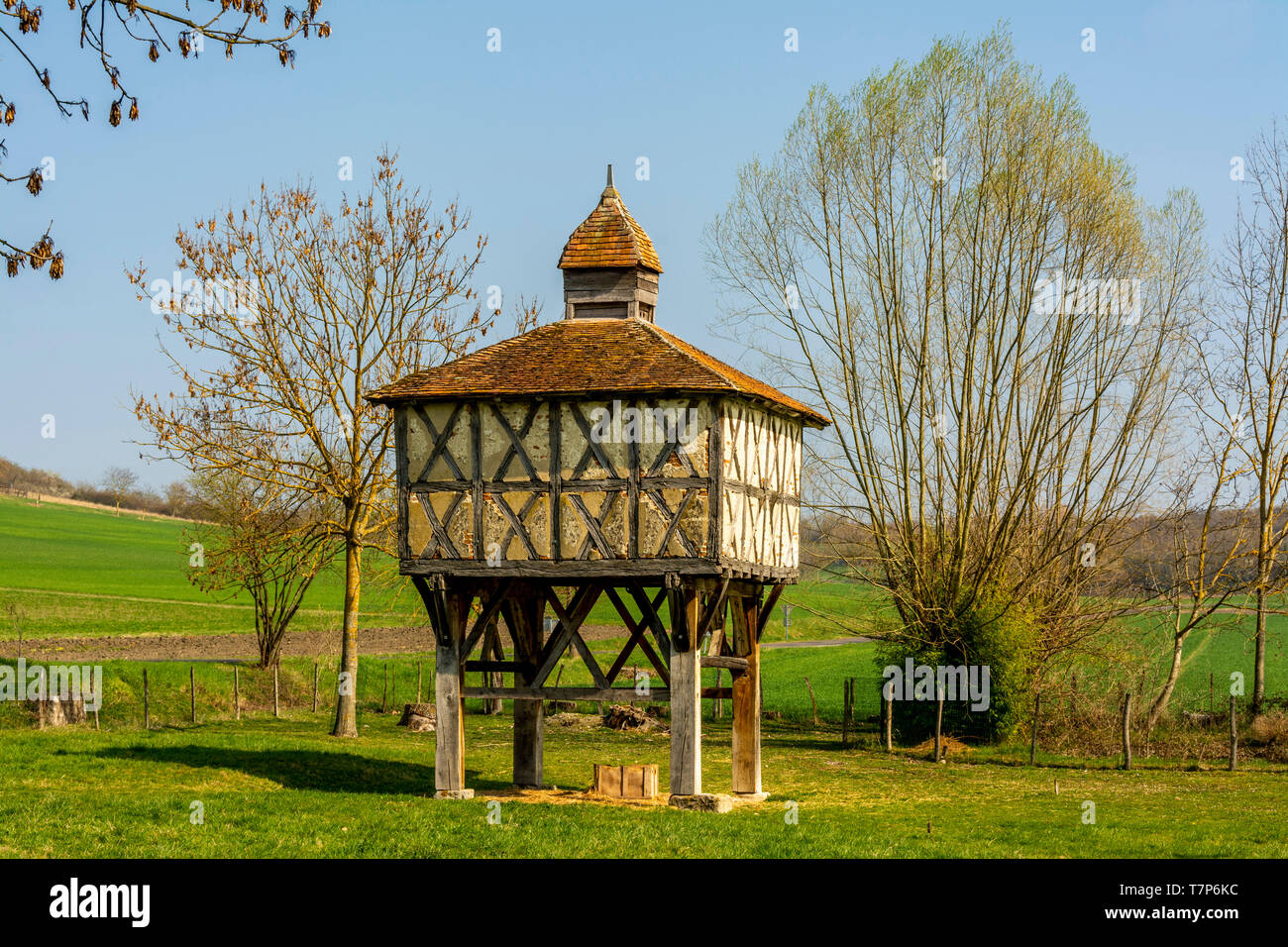 Pigeonnier traditionnel Banque de photographies et d’images à haute ...