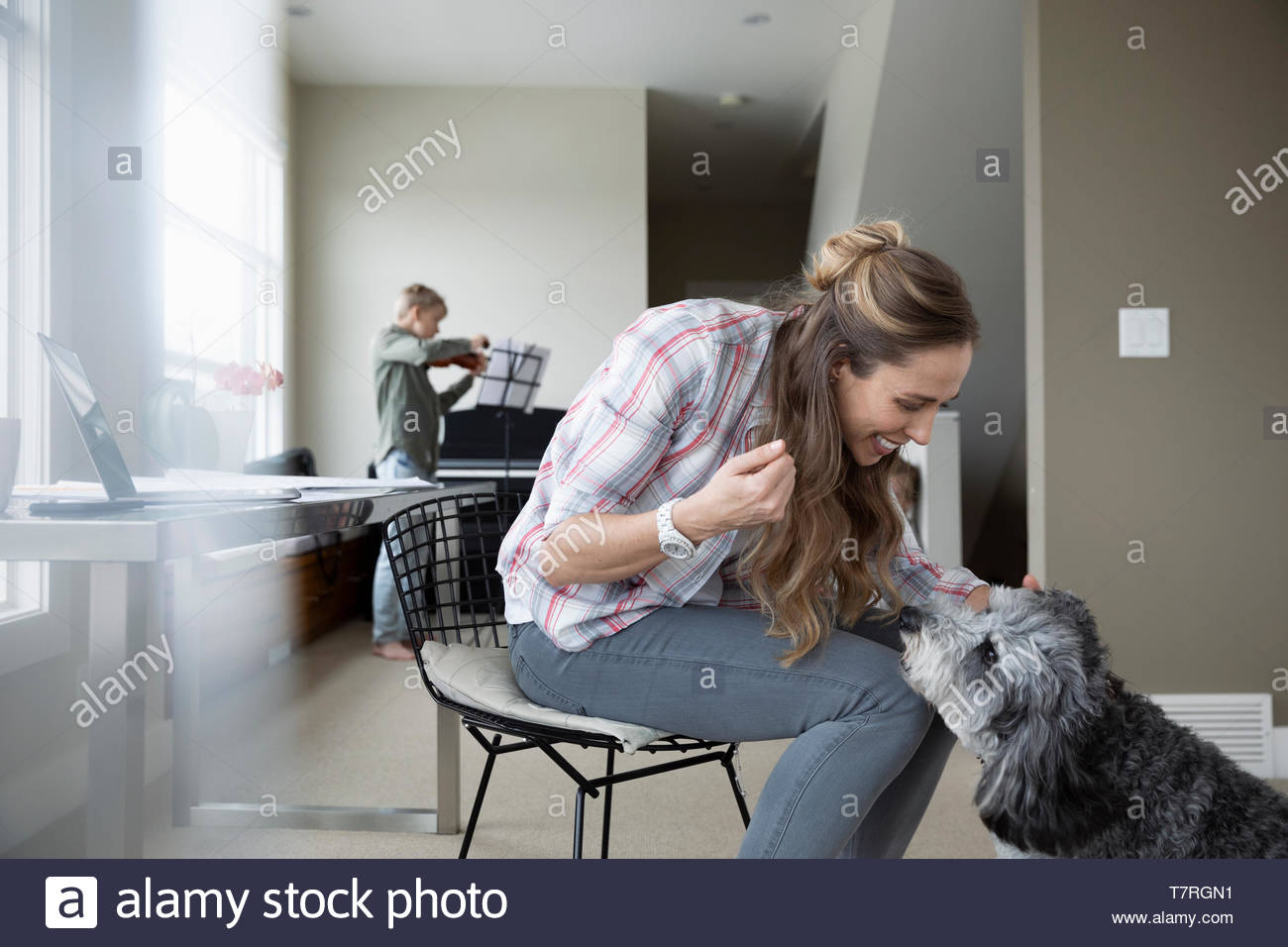 Femme Caresser Chien Banque d'image et photos - Alamy