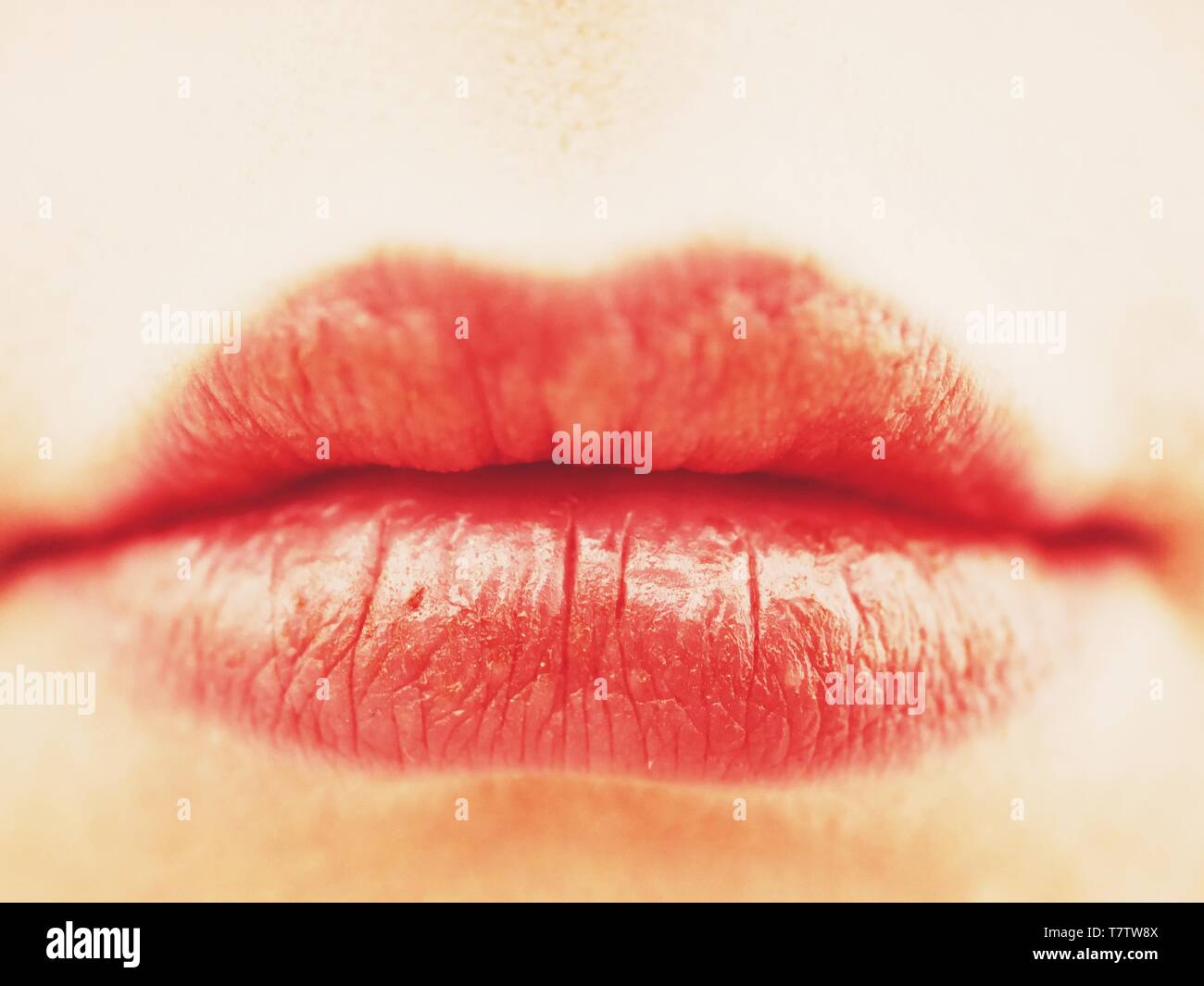Anatomie féminine levres Banque de photographies et d’images à haute ...