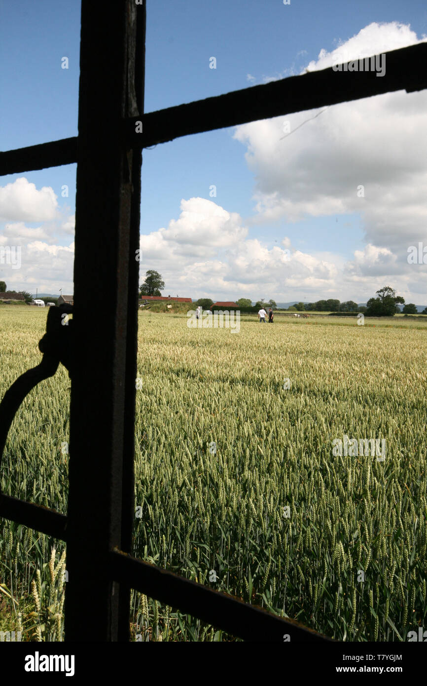 Raf dalton Banque de photographies et d’images à haute résolution - Alamy