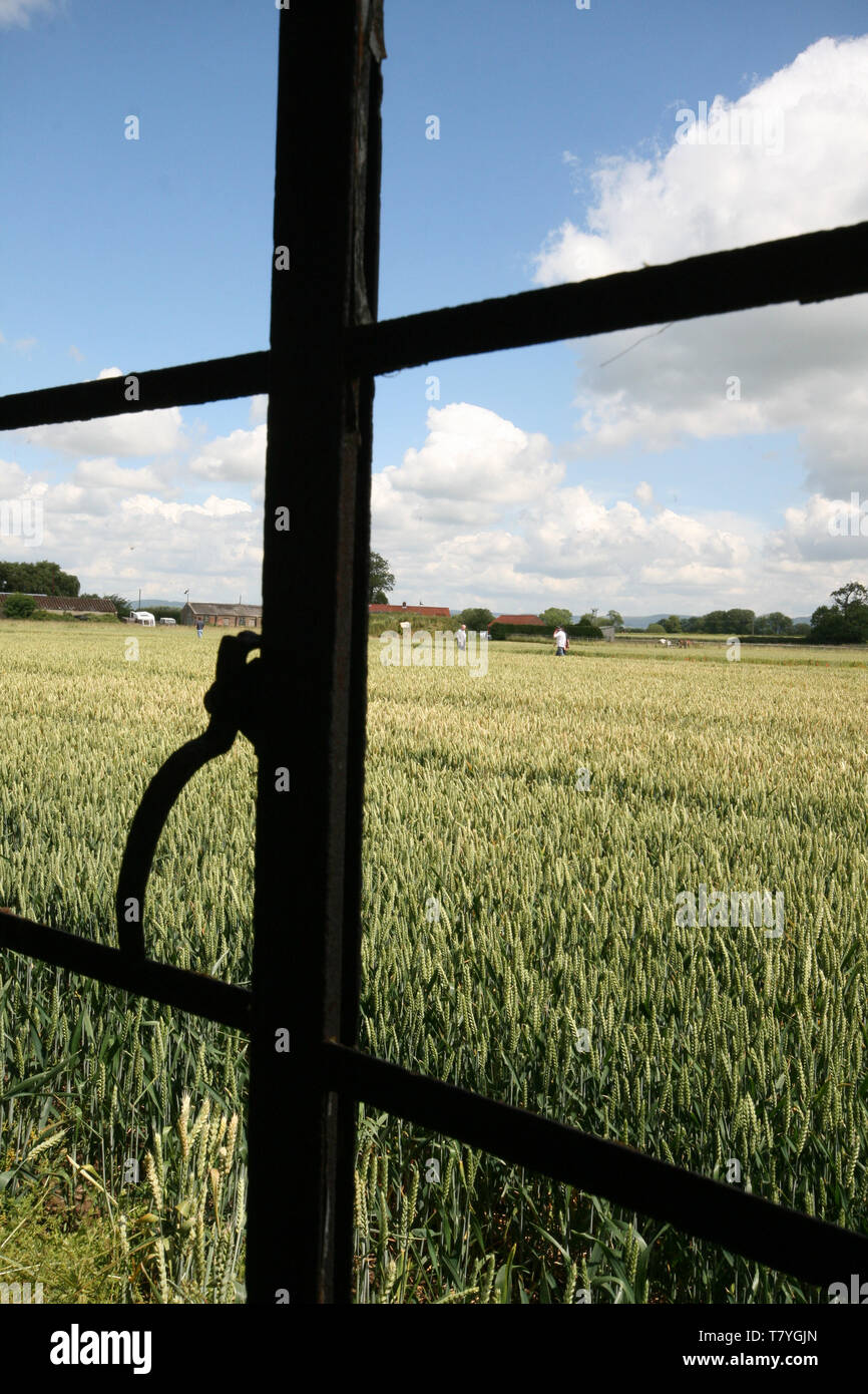 Raf dalton Banque de photographies et d’images à haute résolution - Alamy