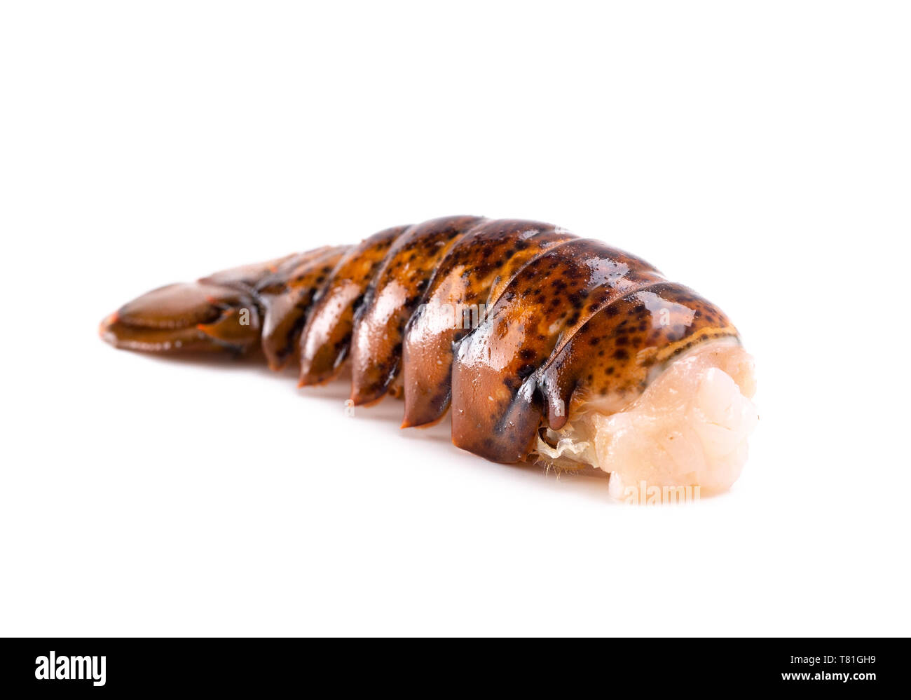 Homard cru Banque de photographies et d’images à haute résolution - Alamy