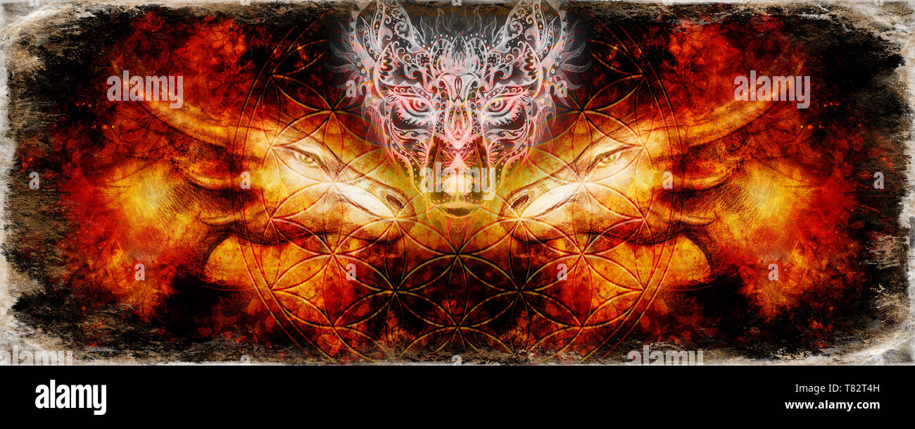 Arabesque de dragon Banque de photographies et d’images à haute ...