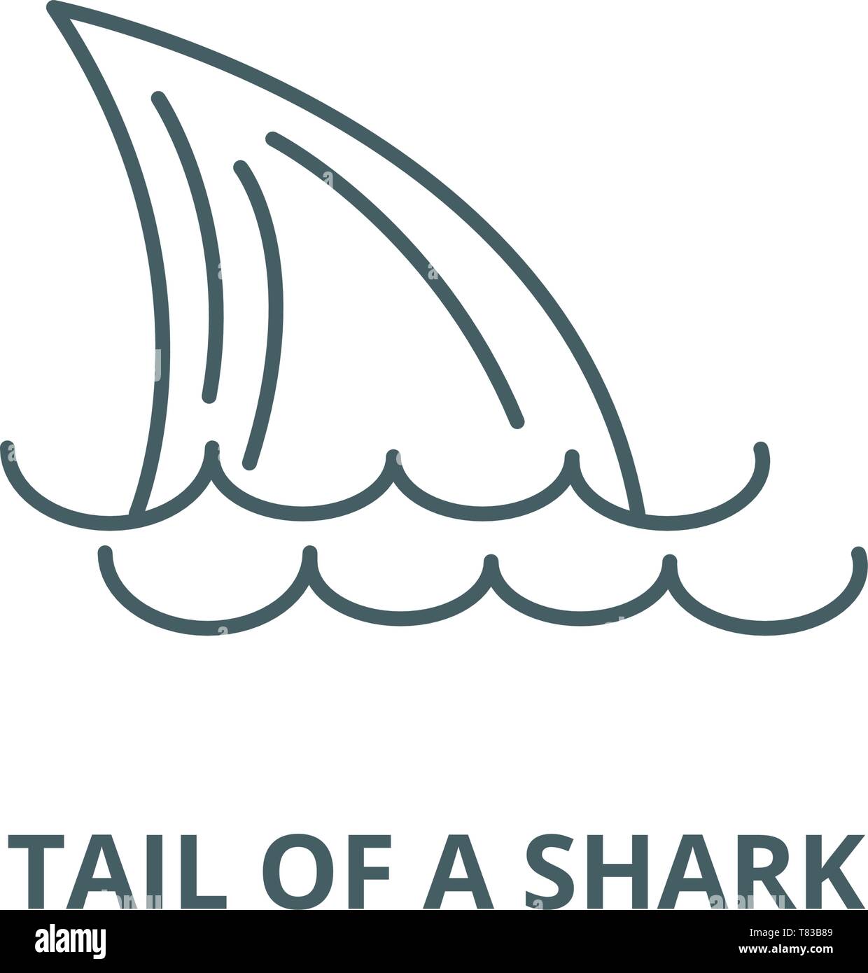 Queue d'un requin, la mer, l'icône de la ligne du vecteur concept ...