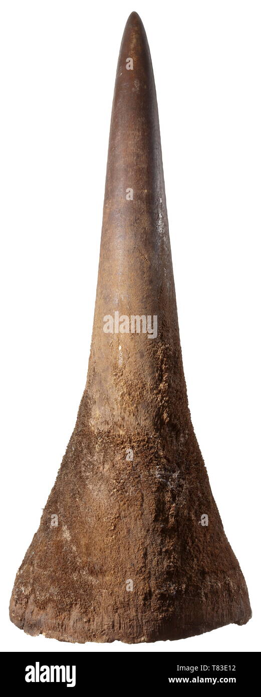 Fixation des insectes Banque de photographies et d’images à haute ...