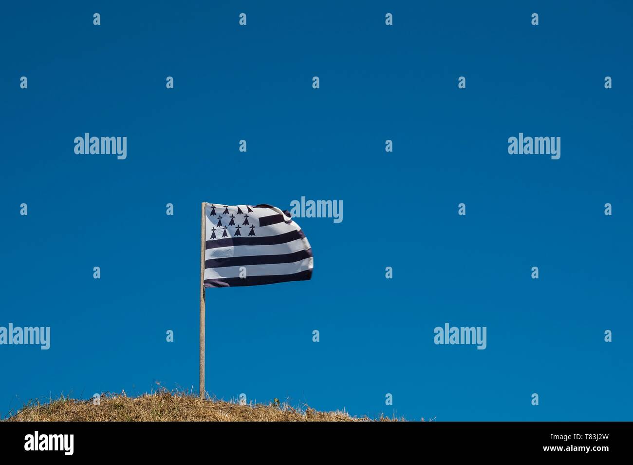 Drapeau breton Banque de photographies et d’images à haute résolution ...