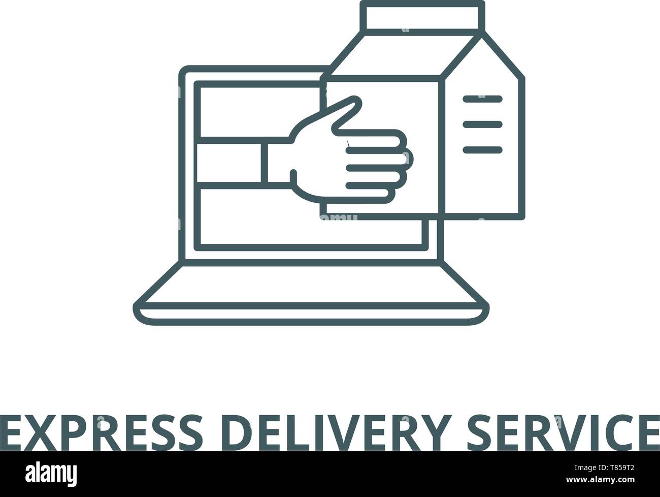 Service de livraison express sur l'icône de la ligne du vecteur ...