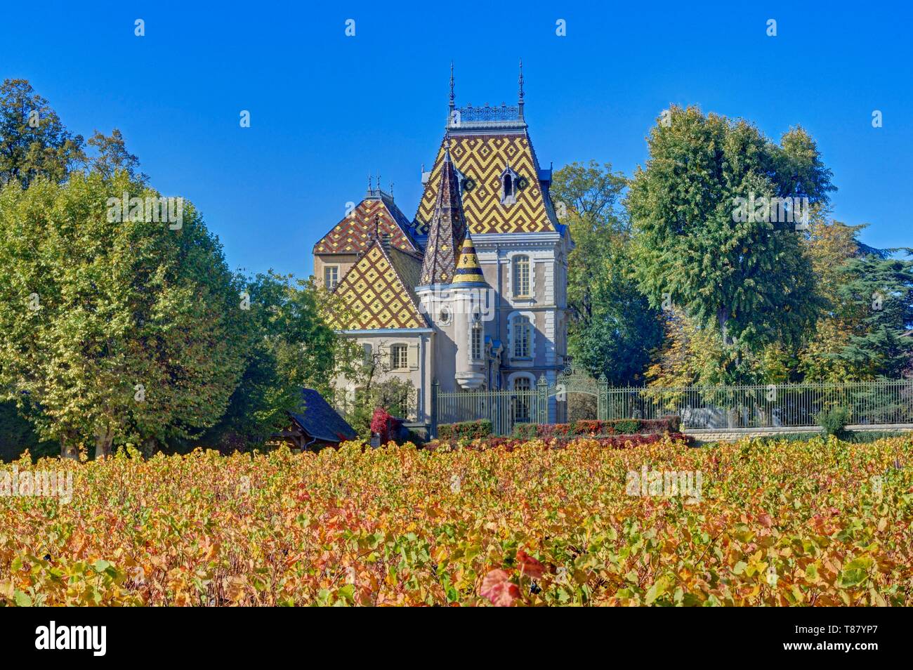 Aloxe corton chateau Banque de photographies et d’images à haute résolution - Alamy