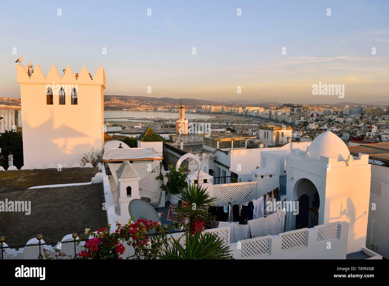 Tetouan morocco mosque medina Banque de photographies et d’images à ...