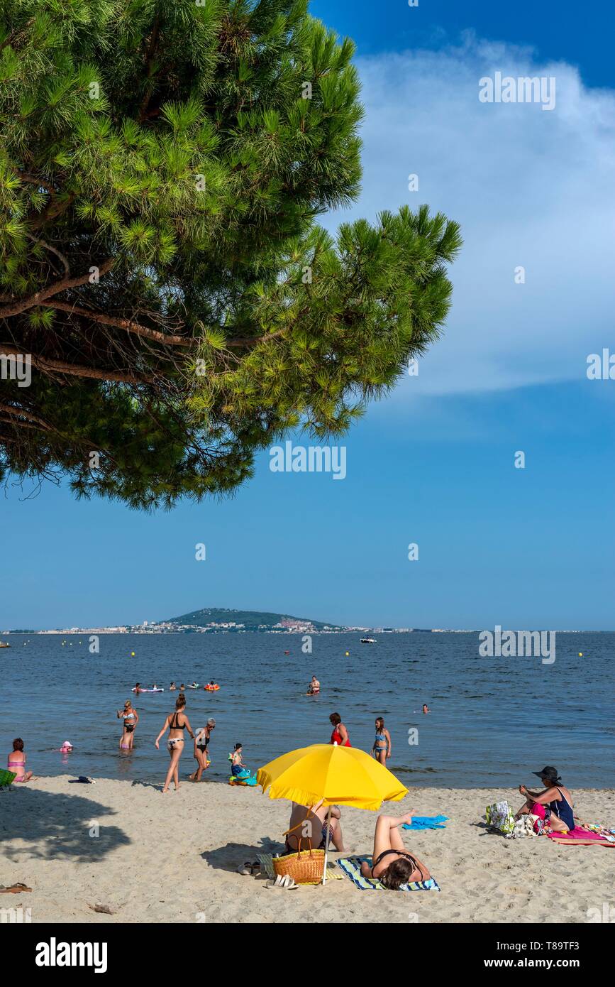 La France, l'Hérault, Meze, plage au bord de la lagune de Thau avec le ...