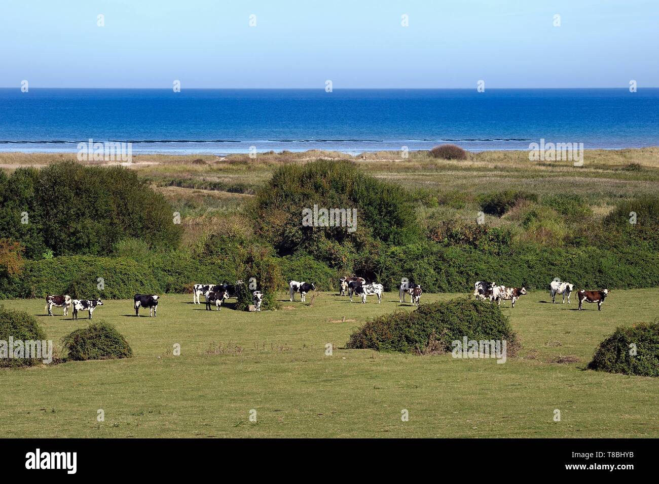 Ver sur mer Banque de photographies et d’images à haute résolution - Alamy